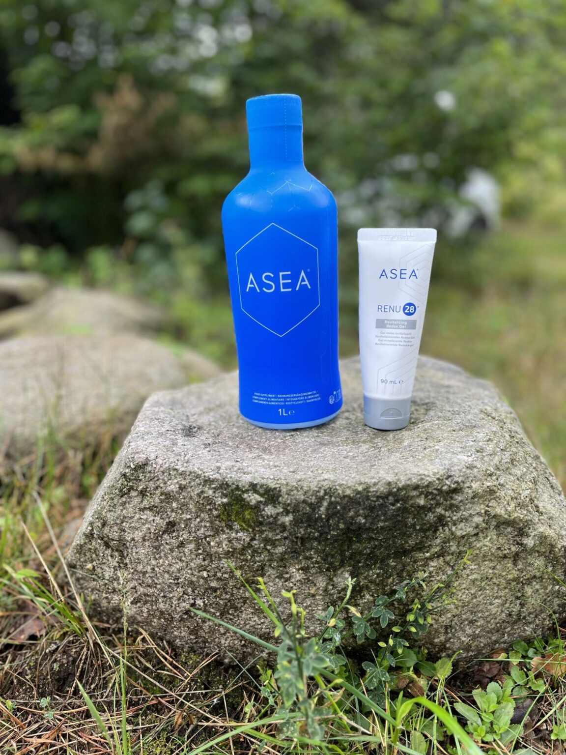 Asea | Eva Kupilíková